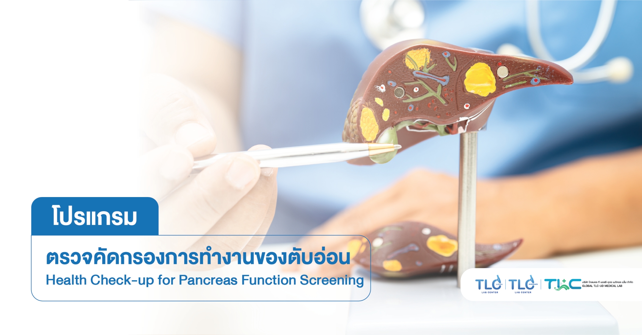 ค่า Bilirubin สูงบ่งบอกอะไร? - TLC Udon Lab Center