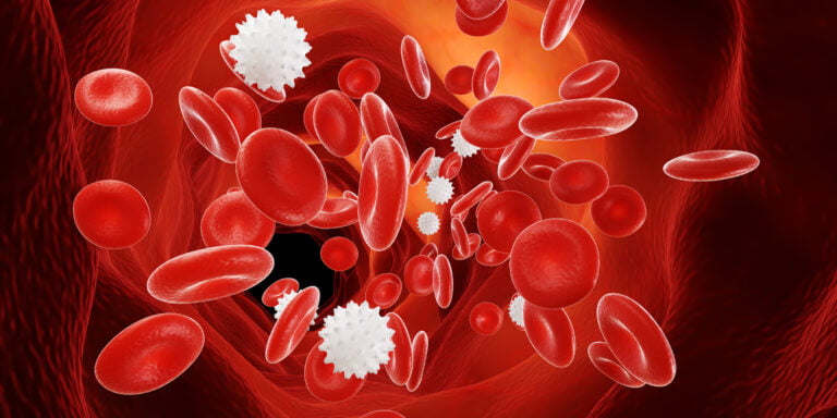 White blood cell (WBC) parameters - TLC Udon Lab Center