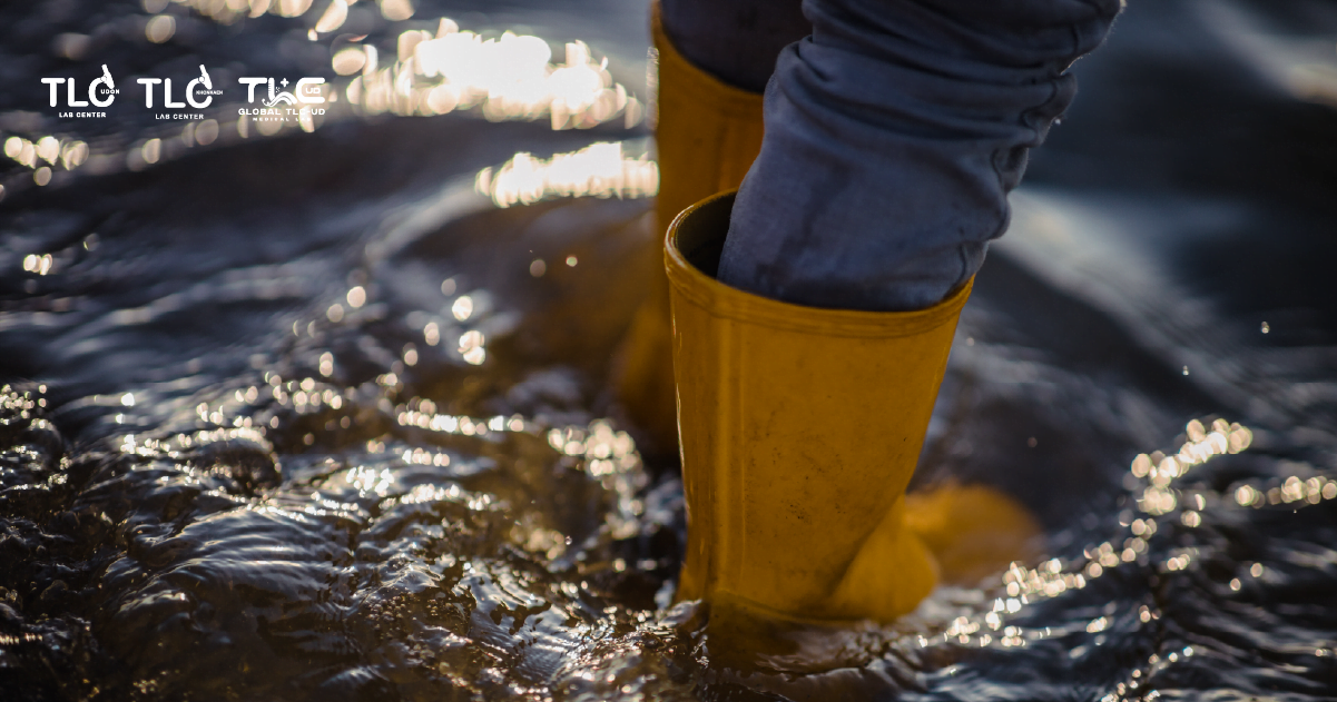 โรคฉี่หนู (Leptospirosis) - TLC Udon Lab Center